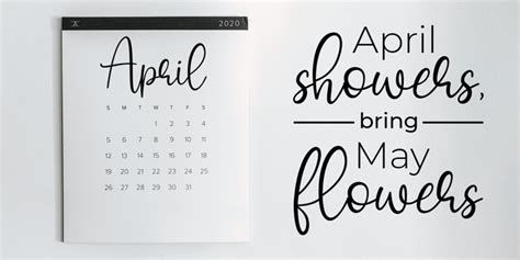 Shmoopie Font Webfont And Desktop Myfonts