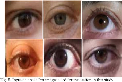 Figure 8 From An Optimal Cluster Fusion And Morphological Segmentation Technique For Iris