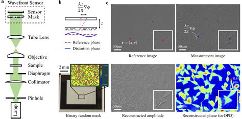 Quantitative Phase And Intensity Microscopy Using Snapshot White Light