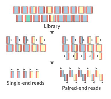 RNA Seq Tutorial BCH Introduction To Bioinformatics