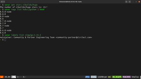 Install Sonar On Linux Snap Store