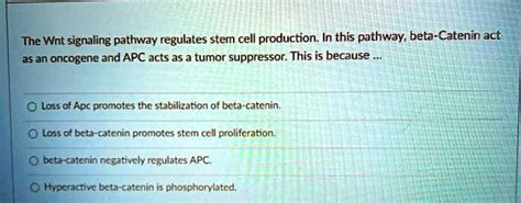 The Wnt Signaling Pathway Regulates Stem Cell Production In This Pathway Beta Catenin Act As An