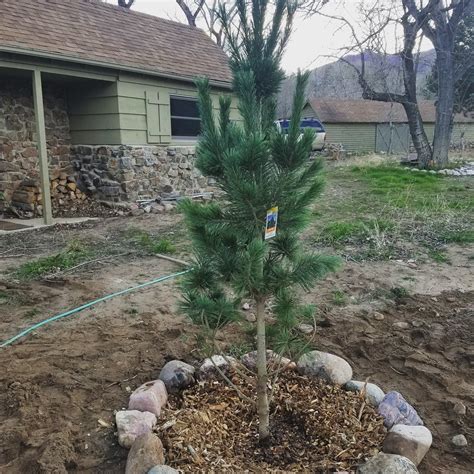 Four Elements Coffee 4elementscoffee Twitter