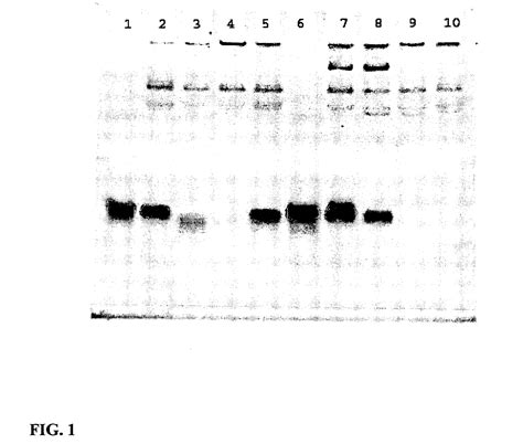 Inhibitor Nucleic Acids Eureka Patsnap