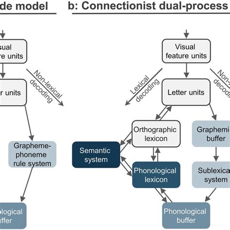 Models For Language Decoding Dual Route Cascade Drc A And