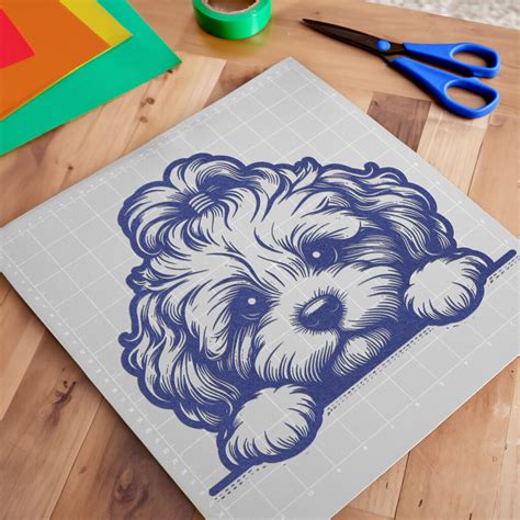 Cavapoo Furry Friend Creative Meadow