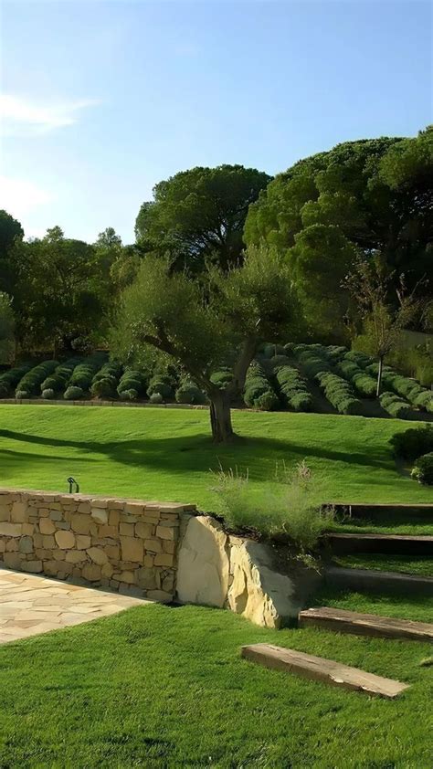 Pin By 𓂃 𝖡𝖾𝗇𝑗𝖺𝗆𝗂𝗇 𝖢𝖺𝗌𝗍𝑒 On Pins Criados Por Você In 2024 Backyard