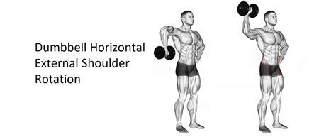 Dumbbell Horizontal External Shoulder Rotation Technique Benefits