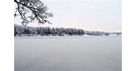 Тежки студове очакват Източното крайбрежие на САЩ през уикенда Български Фермер