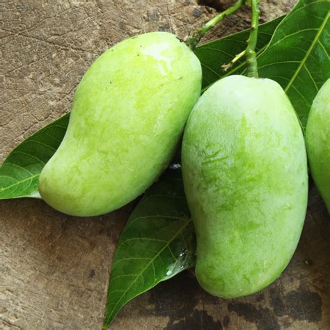 Khiew Sawoey Mango Pasuda Food