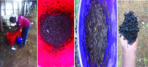 Composting Procedure Download Scientific Diagram