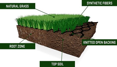 Use Green Hybrid Hybrid Grass And Get 6 Clear Benefits → Click Here