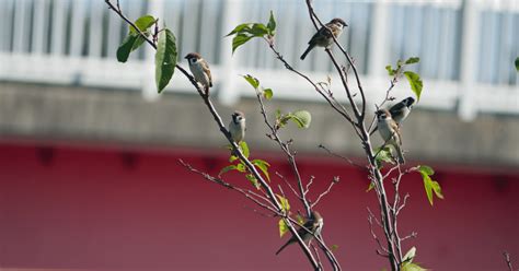 M Solutions プロコンオープン2021atcoder Beginner Contest 232参戦記｜chacoder