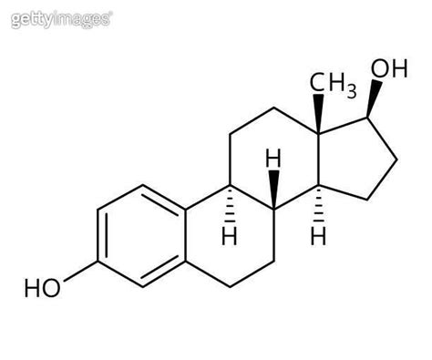 Estradiol Structural Formula Of Molecular Structure 이미지 1664049620 게티이미지뱅크