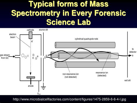Ppt Mass Spectrometry In Forensic Science Powerpoint Presentation