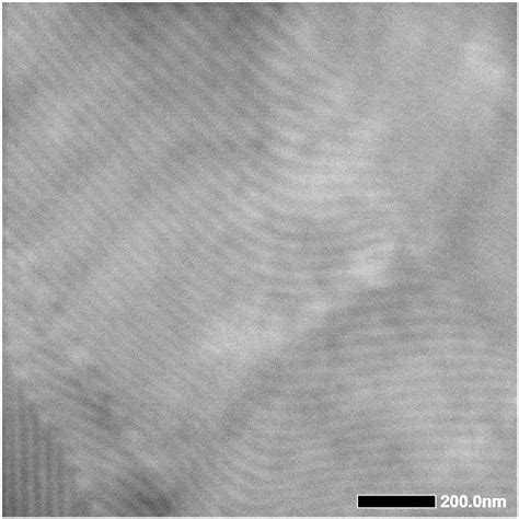Stem Image Obtained At Room Temperature From A 50 Nm Thick Section Of Download Scientific