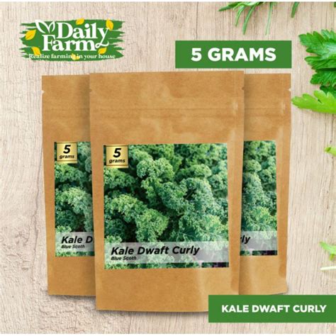 Jual Benih Sayur Kale Dwarf Curly 5 Gram Shopee Indonesia