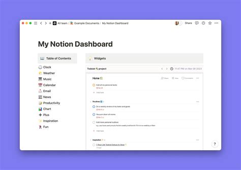 todoist widget for notion plus