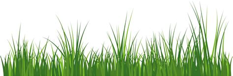 Growing Plants Border Green Realistic Grass Vector Image