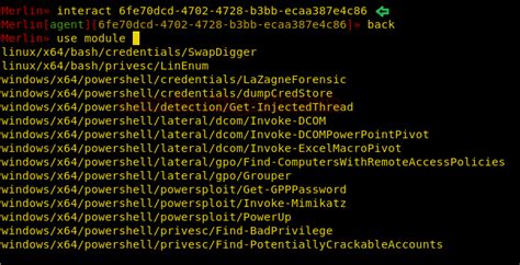 Command And Control Guide To Merlin Hacking Articles