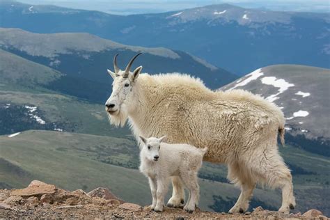 Discover The 15 Most Remote Mountain Ranges On The Planet A Z Animals