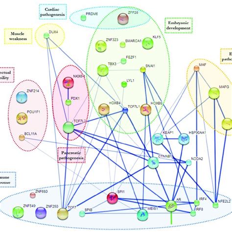 The Scheme Provides An Overview Of The TFs Computational Relationship Download Scientific
