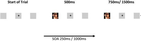 Example Of An Invalidly Cued Sexual Trial Download Scientific Diagram