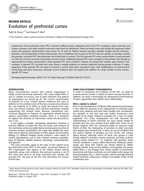 Pdf Evolution Of Prefrontal Cortex