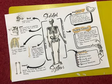 Skeletal System Mind Mapping Kartu 3d Gaya Huruf Seni Jurnal