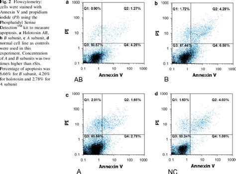 Flowcytometry Cells Were Stained With Annexin V And Propidium Iodide
