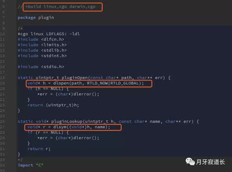 Go标准库plugin源码分析 动态库使用go Pluginlookup Csdn博客