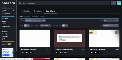 How On Earth Do You Run Test On Codepen Javascript The