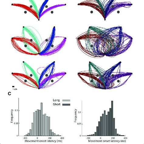 Trajectories From Representative Subjects A Trajectories Performed
