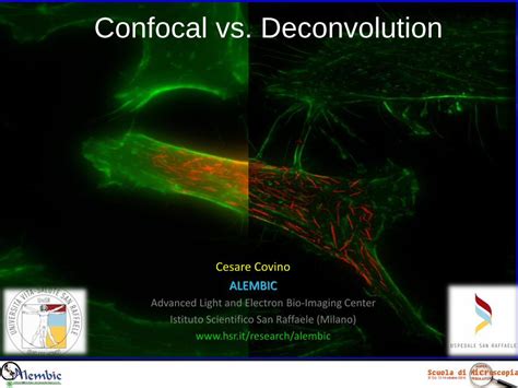 Pdf Confocal Vs Deconvolution Scuola Di Microscopia 3d Or 2d Deconvolution Mathematically