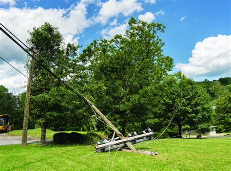 Trees Power Lines Dakota Electric Association