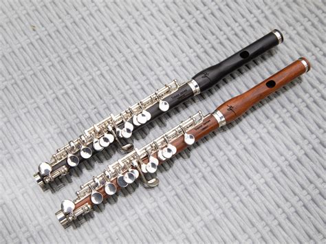 Instrumentenkunde Zu Piccolo Flöte Von Bemusico