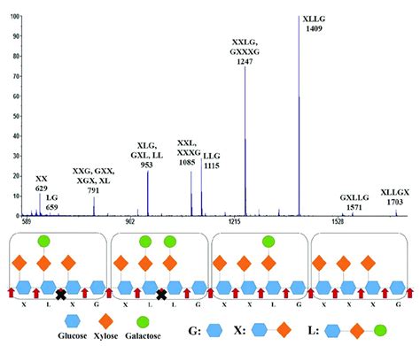 Maldi Tof Ms Analysis Of The Products Generated By Ttgh74 From Tamarind