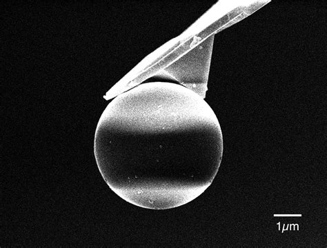 Scanning Electron Microscope Image Of A Colloid Probe Download