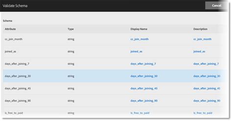 How To Validate The Customer Attribute Schema Adobe Experience Cloud