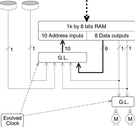 The Hardware Implementation Of The Evolvable Dsm `gl Stands For A Download Scientific