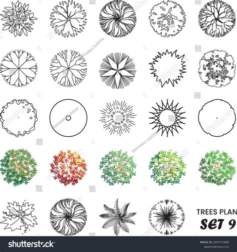 Architectural Drawing Trees Plan Set Stock Vector Royalty Free Shutterstock