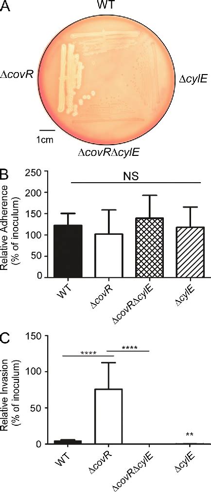 Figure 1 From A Hemolytic Pigment Of Group B Streptococcus Allows
