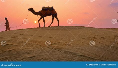 Indian Cameleers Camel Driver With Camel Silhouettes In Sand Dunes Of