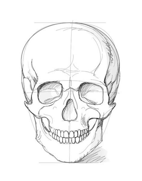 How To Draw A Skull With A Pencil Step By Step Drawing Tutorial Skull