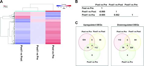 Heat Map With Hierarchical Clustering Dendrogram Of The Expression