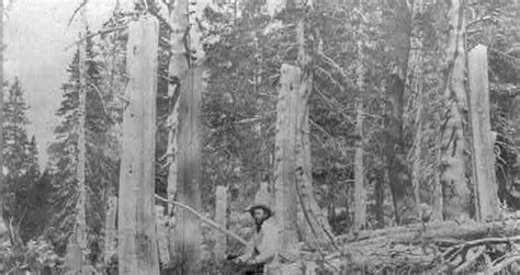 Heres What Happened To The Survivors Of The Donner Party