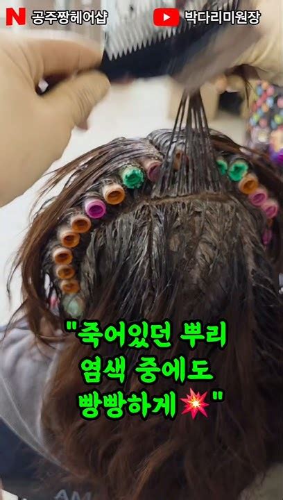 뿌리볼륨 뿌리볼륨펌 탄머리복구 염색뿌리볼륨 볼륨매직 볼륨빵빵 공주짱헤어샵 박다리미원장 헤어복구전문 탄머리살리기 미용실추천 울산미용실 뿌리살리기 뿌리볼륨전문 염색복구시술 뿌리