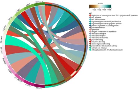Go Term Enrichment Analysis Of Module Genes Download Scientific Diagram