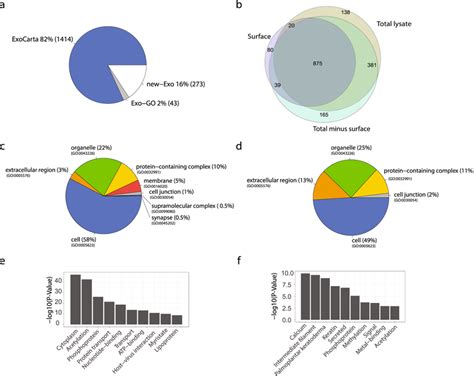 Global Proteomic Analysis And Go Annotation Of Sf Sevs Proteins A Download Scientific Diagram