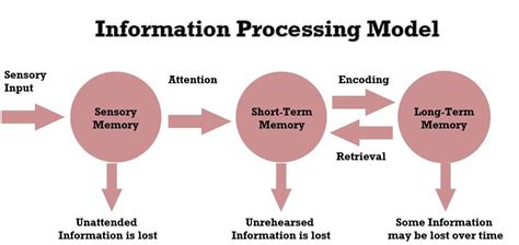 Memory Types And Ways To Improve It Onlinemkt